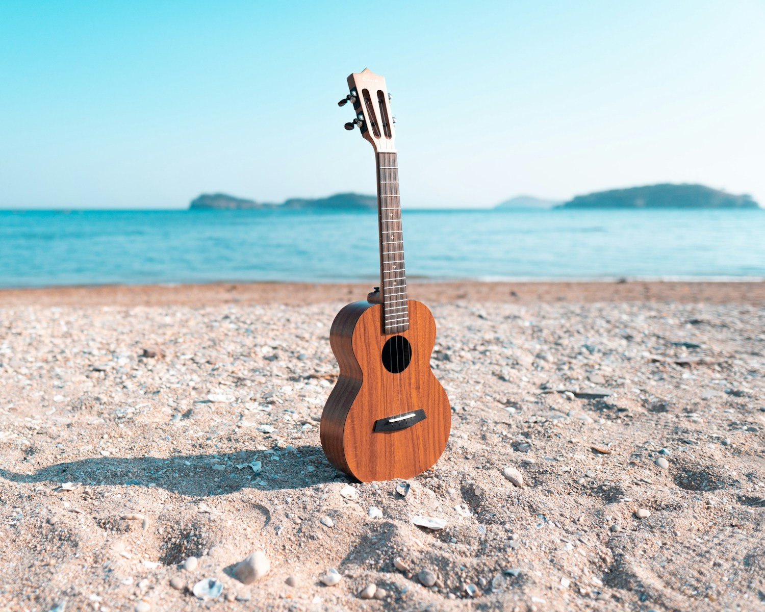 🎵 The Ultimate Guide to Ukule Sound: Sizes, Woods & Secrets (2026 ...